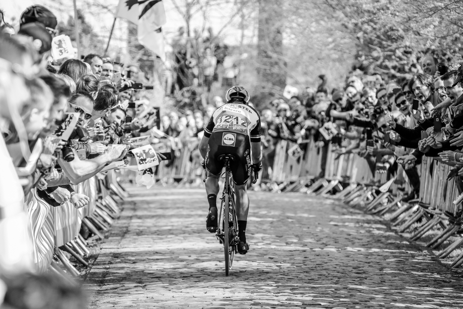 gilbert-4 - Zikloland