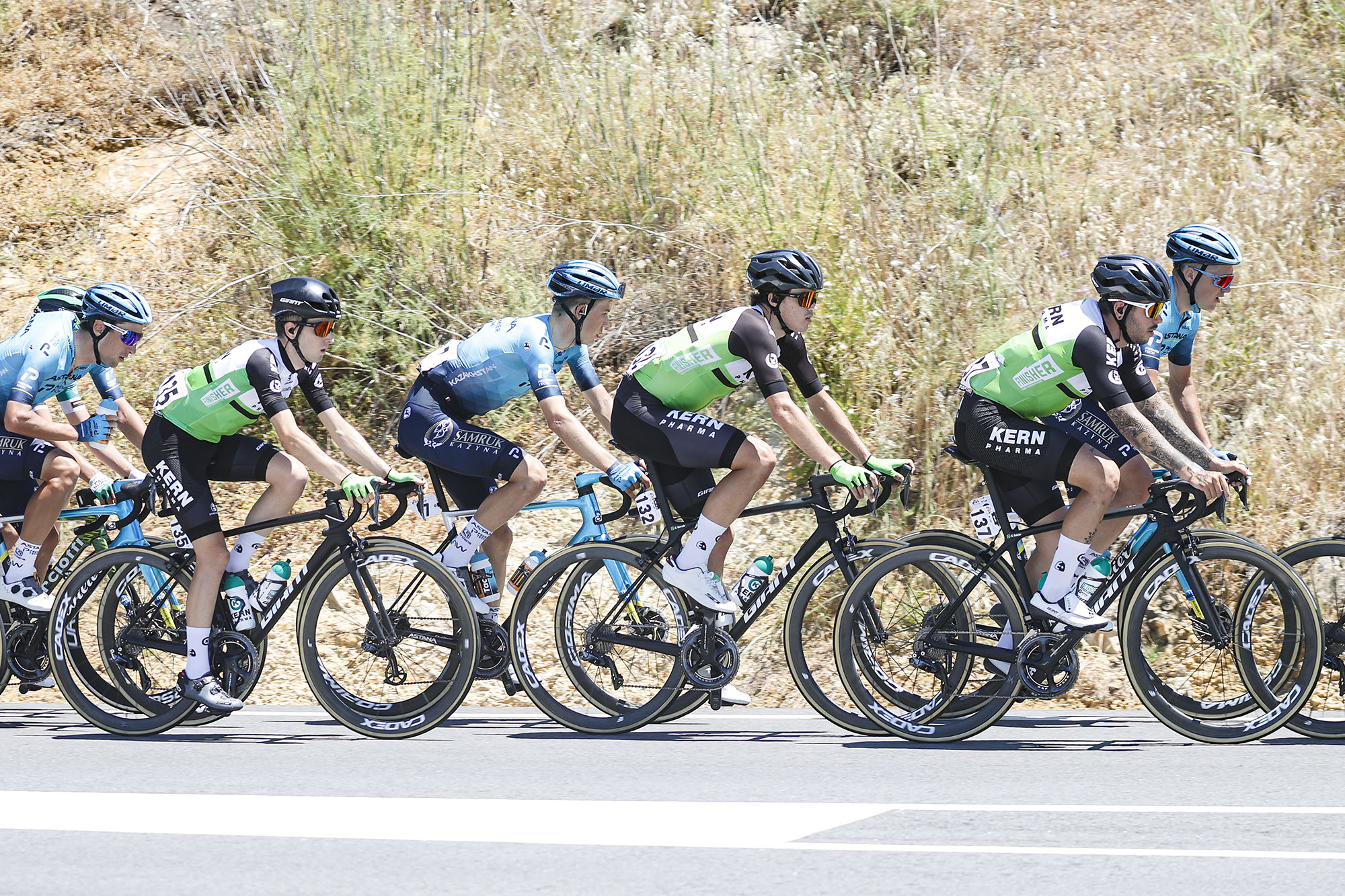 urko-berrade-kern-pharma-giant-tcr-12 - Zikloland