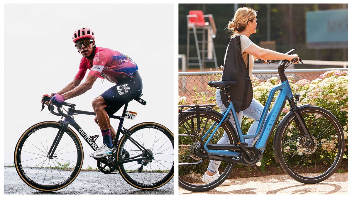 pon-bike-dorel-sports-2 - Zikloland